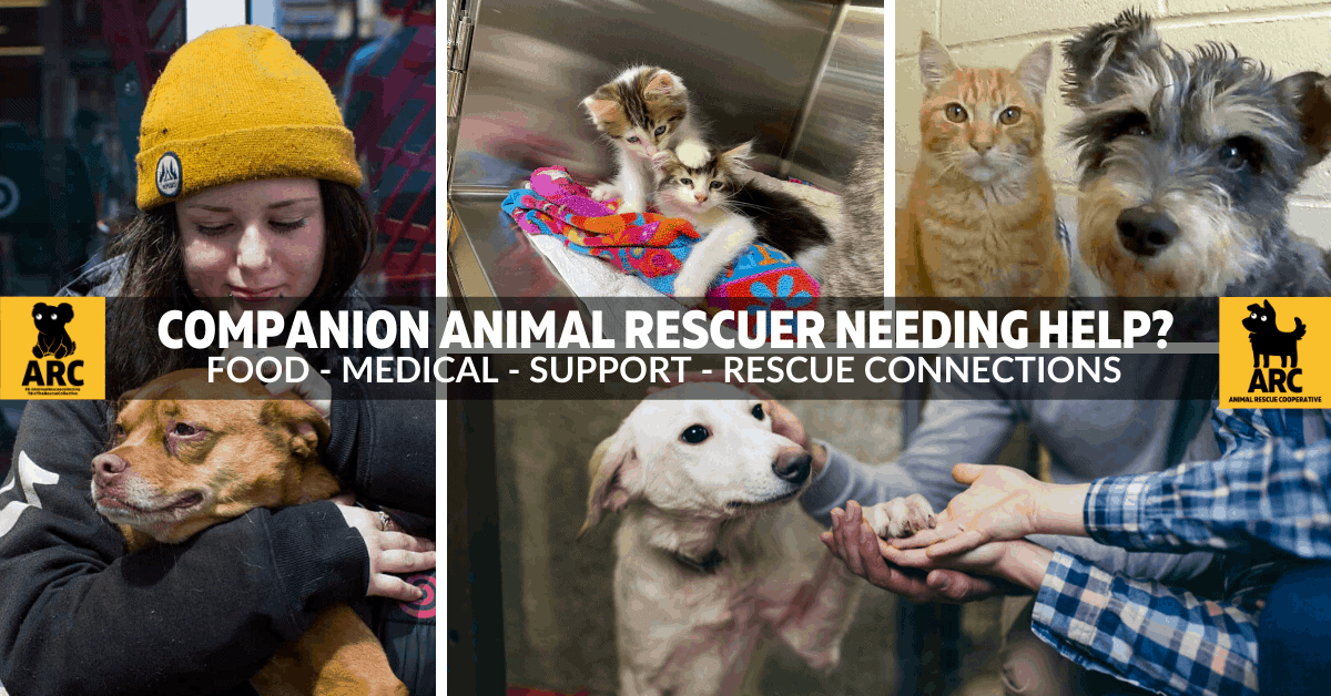 Companion Animal Rescuer 2022 - ARC - Animal Rescue Cooperative