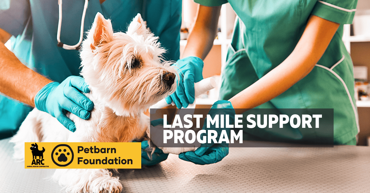 Recovery - Vet Support Project - ARC - Animal Rescue Cooperative