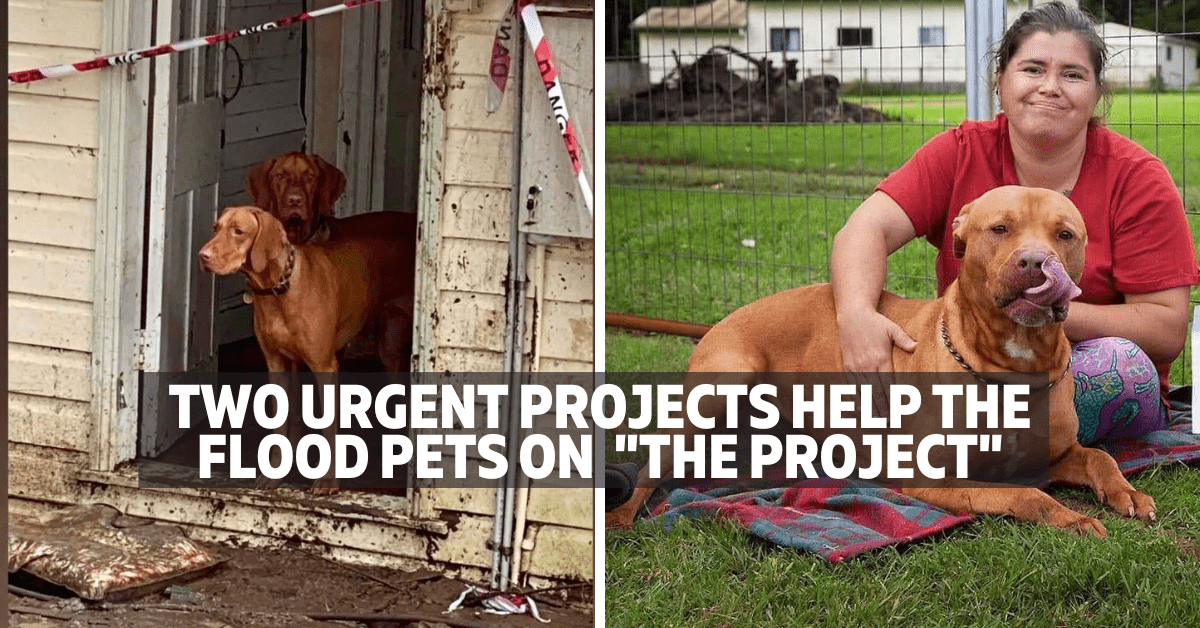 The Project - ARC - Animal Rescue Cooperative